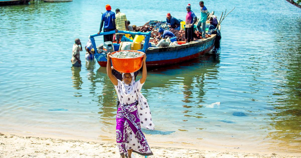 Shaping the Future of Aquatic Foods and Global Climate Action | WorldFish