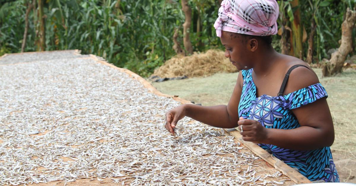 Small-Scale Fishers Hold the Key to Food Security and Climate ...