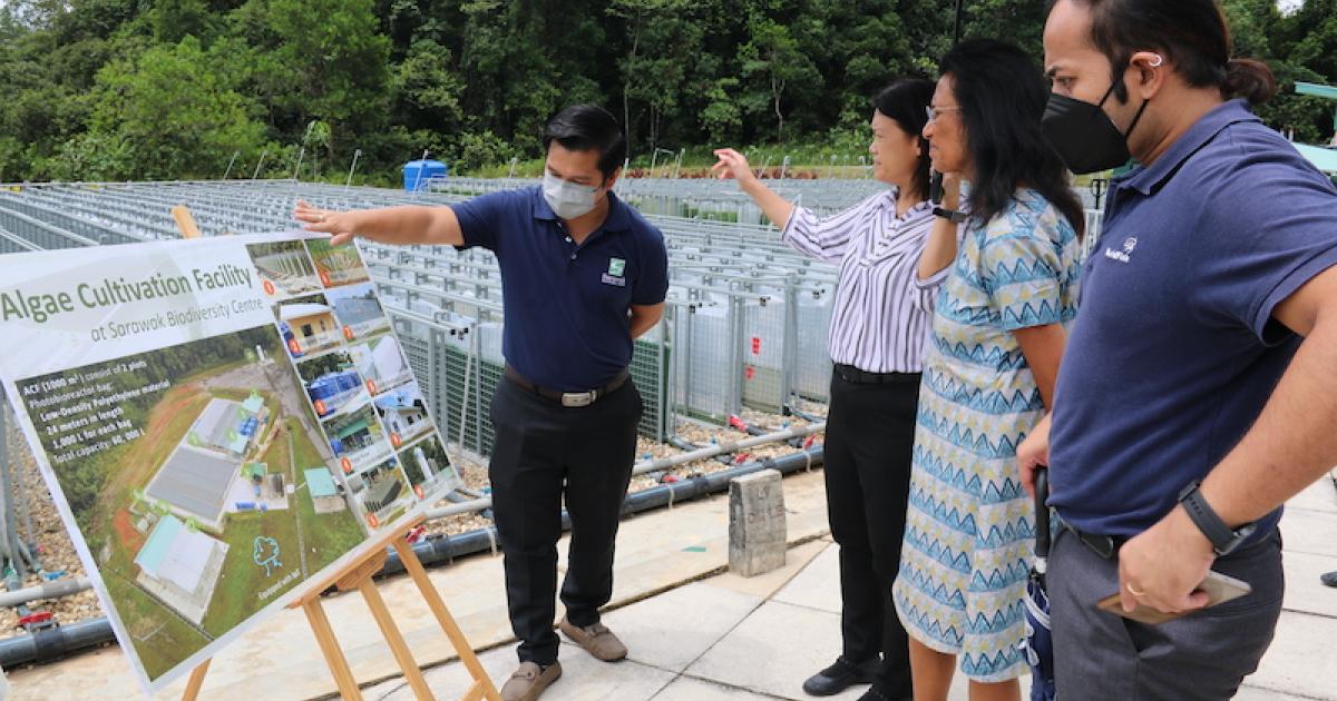 Leveraging the expertise of institutions in East Malaysia for a ...