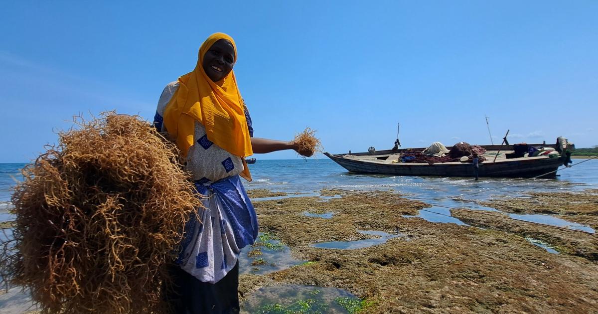 WorldFish @ COP29 | WorldFish