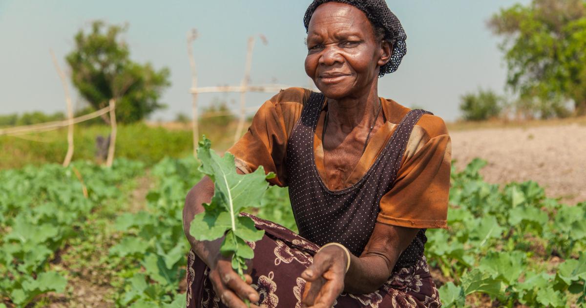Global EverGreening Alliance: Accelerating Nature-based Solutions ... Global EverGreening Alliance: Accelerating Nature-based Solutions ...