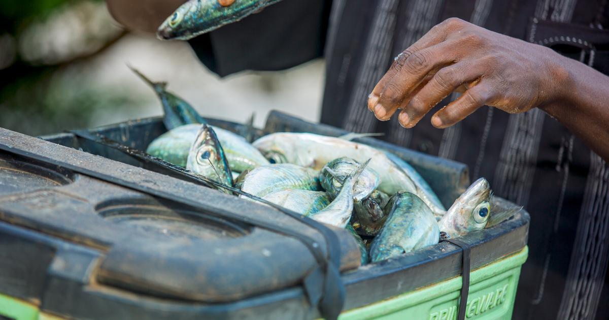 WorldFish @ Ocean Innovation Africa | WorldFish