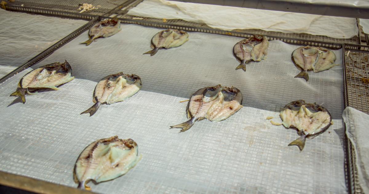 WorldFish @ UNFSS+4 | WorldFish