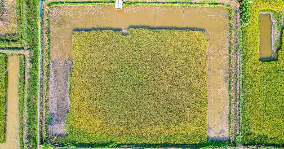 WorldFish @ CGIAR Science Week | WorldFish